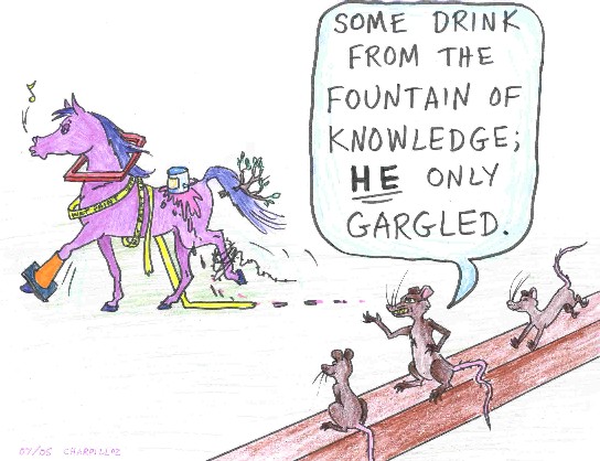 Cart Toons 2005 page